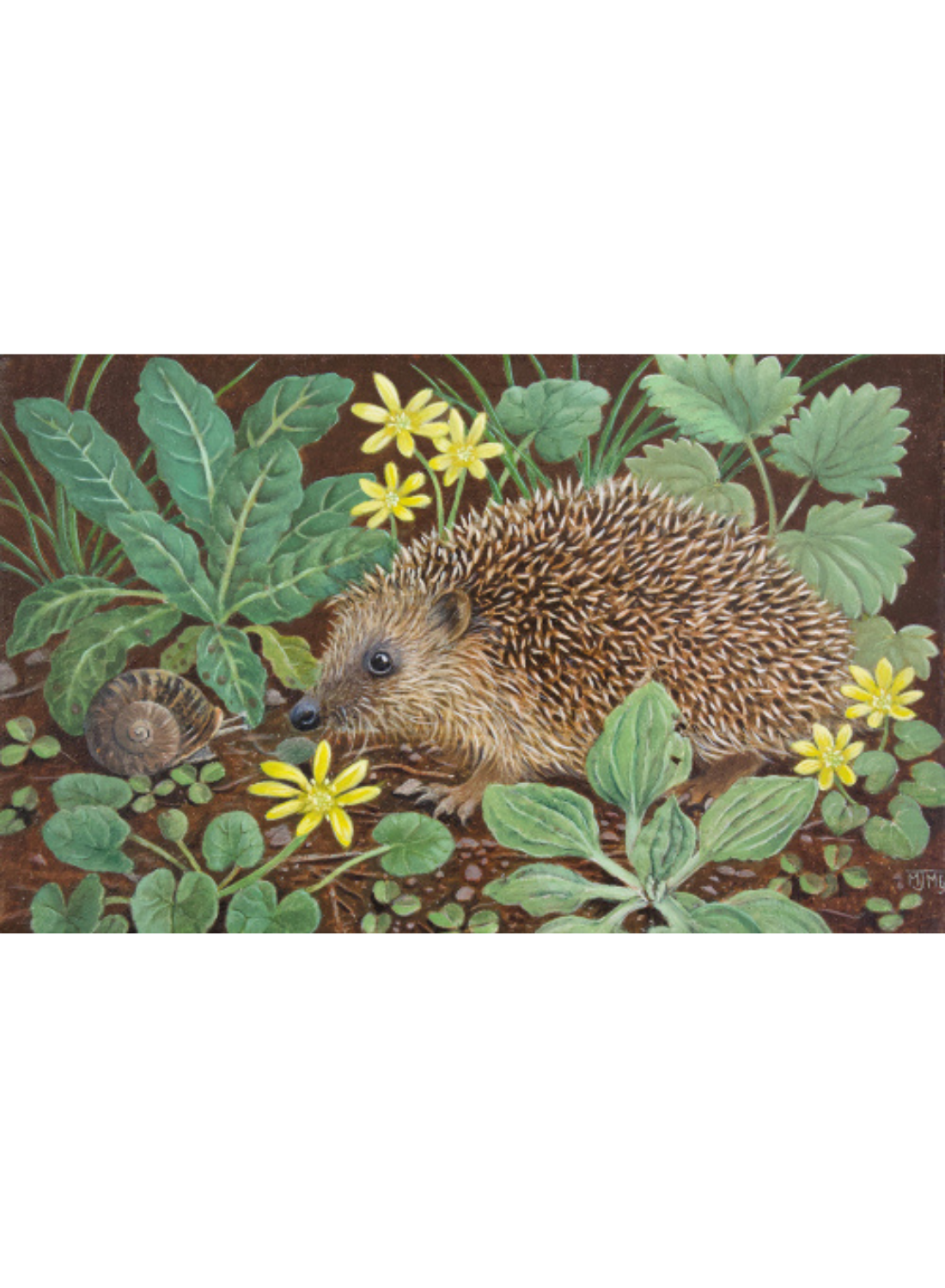 Little Hog Card – Johnny Ruth